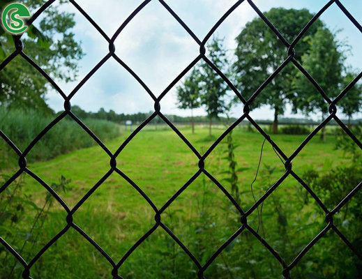 Malaysia galvanized 11 gauge chain link fence roll 6 foot for farm