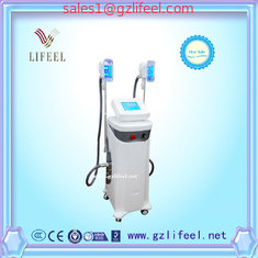 China Two heads Fat freezing slimming machine weight loss beauty equipment supplier