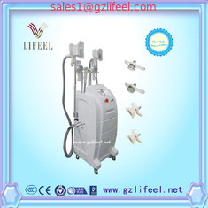 China hottest Fat freezing slimming machine weight loss beauty equipment supplier