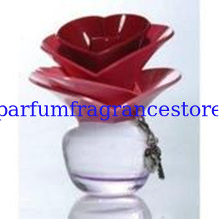 Someday Perfume for Women /Nice Women Perfumes supplier