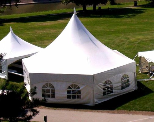 2022 hot sale 8m White Reinforced pvc fabric Maggiolina hexagon roof top polygonal tent for sale