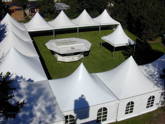 2018  High Peak white color 5*5m  Garden Pagoda Gazebo Canopy Tent with cheap factory price