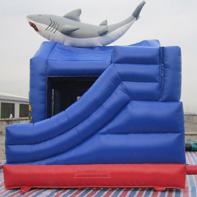 Hansel Inflatable Castle Jumper with Slide Combo