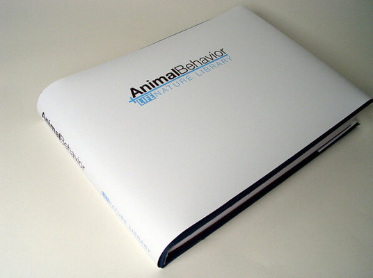 Custom design hard cover book/photo album printing