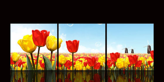 Watercolor Medium / No Frame fine art Digital Printing Services , art galleries