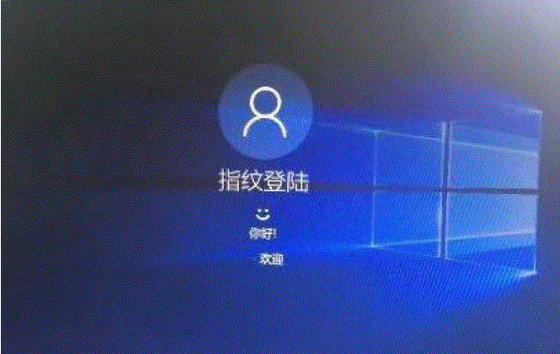 Fingerprint Recognition Module Windows login User supplier