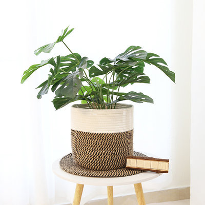 Cotton Rope Plant Basket Modern Woven Storage Basket,Containers Organizer for Small Plants, Flower Pot,Crafts, Toys, Hom
