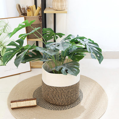 Cotton Rope Plant Basket Modern Woven Storage Basket,Containers Organizer for Small Plants, Flower Pot,Crafts, Toys, Hom