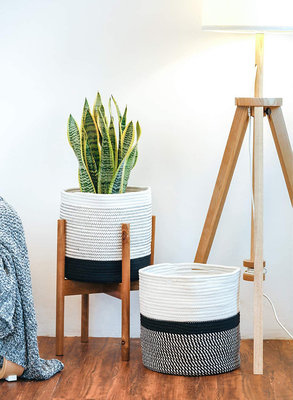 Cotton Rope Plant Basket Modern Woven Storage Basket,Containers Organizer for Small Plants, Flower Pot,Crafts, Toys, Hom