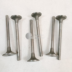 China NT855 machinery parts diesel engine valve intake valve 135957 3000926 4955698 3803512 supplier