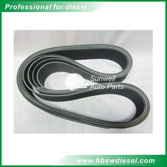 China KTA38 engine Belt, V Ribbed 3003341 supplier