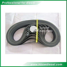 China QSK19 engine Belt  V Ribbed 3090089 supplier
