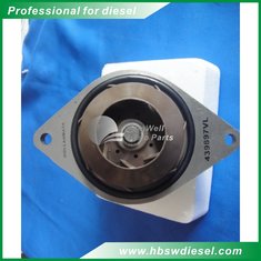 China Water pump 3928395 3286278 for Cummins 6BT / Komatsu S6D102 diesel engine supplier
