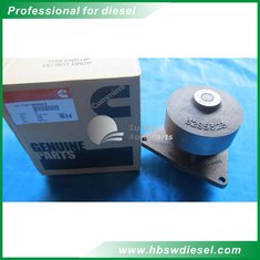 China Water pump 3800974 for Cummins 6CT8.3 diesel engine supplier