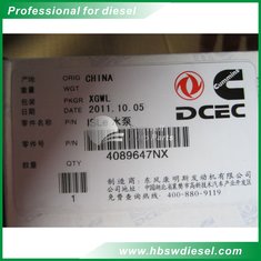 China 4089647 ISLE water pump for Cummins ISLE diesel engine supplier