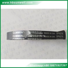 China Cummins ISM QSM M11 fan belt V ribbed belt 3805921 5413207 3028521 supplier