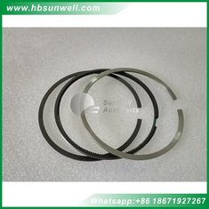 China Cummins 6BT5.9 Engine Cummins Piston Ring 3802230 3802231 3802056 3802050 3802421 3904531 3918315 3932520 supplier