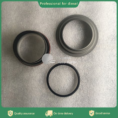 China Hot sale 6CT Engine Spare Parts Crankshaft Front Oil seal 3925343 supplier