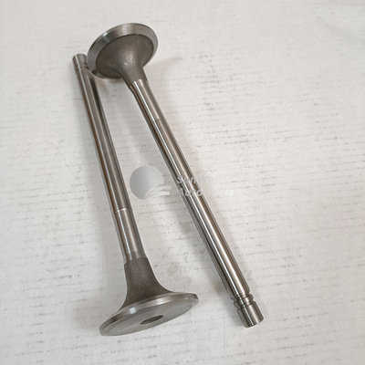 NT855 machinery parts diesel engine valve intake valve 135957 3000926 4955698 3803512 supplier