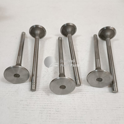 NT855 machinery parts diesel engine valve intake valve 135957 3000926 4955698 3803512 supplier