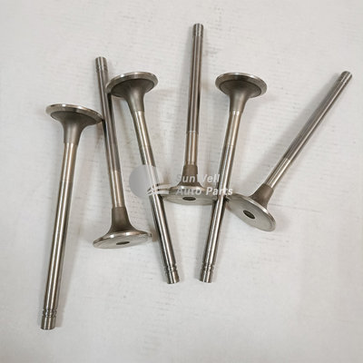 High Quality Excavator Auto Parts Engine Parts NT855 Exhaust Valve 3040830 3803519 3029333 supplier