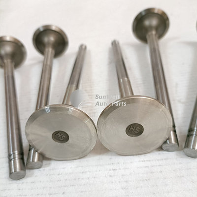 High Quality Excavator Auto Parts Engine Parts NT855 Exhaust Valve 3040830 3803519 3029333 supplier
