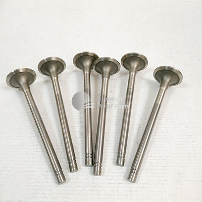 High Quality Excavator Auto Parts Engine Parts NT855 Exhaust Valve 3040830 3803519 3029333 supplier