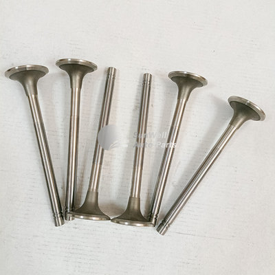 High Quality Excavator Auto Parts Engine Parts NT855 Exhaust Valve 3040830 3803519 3029333 supplier