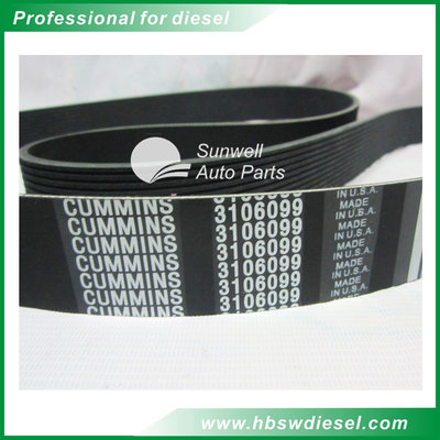 QSX15 engine Belt, V Ribbed 3106099 supplier