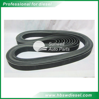 QSX15 engine Belt, V Ribbed 3106099 supplier