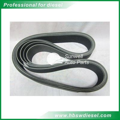 KTA38 engine Belt, V Ribbed 3003341 supplier