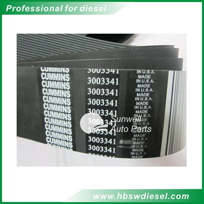 KTA38 engine Belt, V Ribbed 3003341 supplier