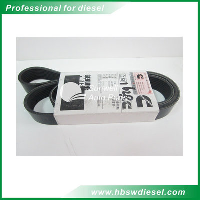 QSM11 engine Belt V Ribbed 8PK1628 3103697 supplier