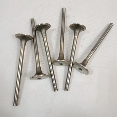 High Quality Excavator Auto Parts Engine Parts NT855 Exhaust Valve 3040830 3803519 3029333 supplier