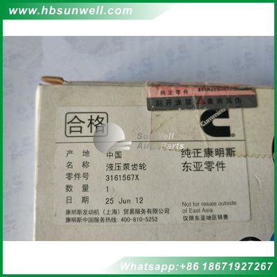 Genuine Cummins Hydraulic Pump Gear 3161567 3038993 3027220 for ISM QSM M11 engine spare parts supplier