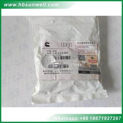 Cummins QSM11 M11 QSM ISM ISM11 Engine Parts screw hex flange head cap 3070393 Banjo Connector Screw 3025479 3819957 supplier