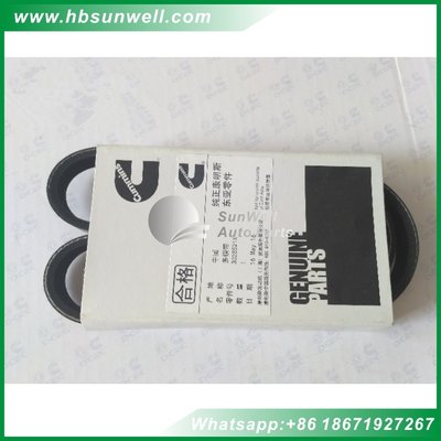Cummins ISM QSM M11 fan belt V ribbed belt 3805921 5413207 3028521 supplier