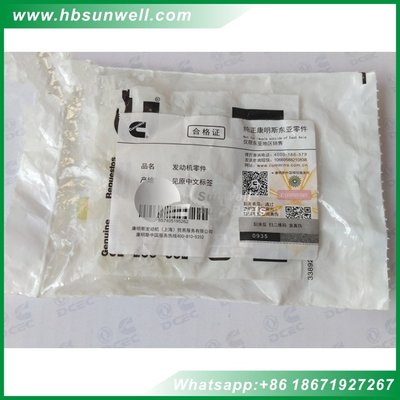 Cummins diesel engine parts ISLE NT855 M11 L10 jaw coupling spider 3046200 109859 101920 supplier
