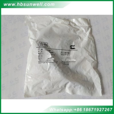 Cummins engien L10 M11 QSM11 ISM11 Oil Pressure Regulator Plunger 3010146 Compression Spring supplier