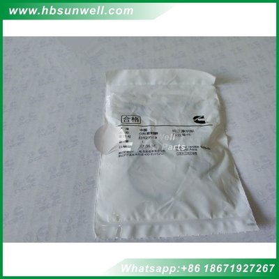 Original aftermarket diesel engine parts ISM QSM M11 L10 water pump O ring seal 3892095 3017656 supplier