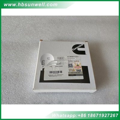 Cummins M11 L10 Diesel Engine Parts Crankshaft Rear Oil Seal 3892020 3803488 3803728 3804304 3803273 3883117 supplier