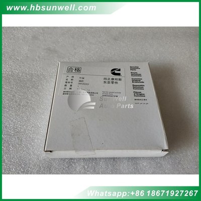 Cummins M11 L10 Diesel Engine Parts Crankshaft Rear Oil Seal 3892020 3803488 3803728 3804304 3803273 3883117 supplier