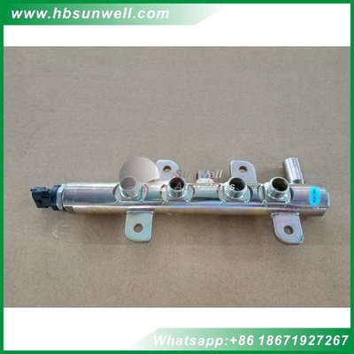 Cummins engine 4ISBE ISB3.9 Fuel Manifold 4981367 0445224048 Common Rail Fuel Manifold supplier