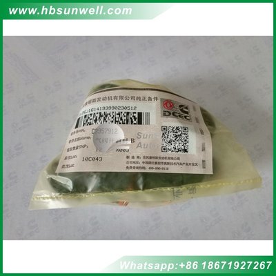 High performance Cummins original diesel Engine Parts ISBe ISDe QSB Valve Spring Seat 3931623 3957912 3955393 supplier