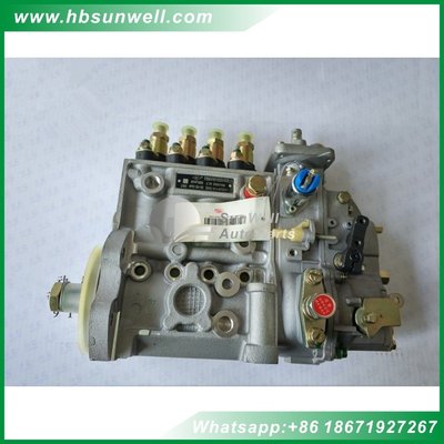 4940837 Cummins engine 4BT3.9-C110 WEIFU 4P701 Fuel Injection Pump supplier