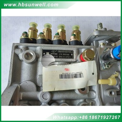 4940837 Cummins engine 4BT3.9-C110 WEIFU 4P701 Fuel Injection Pump supplier
