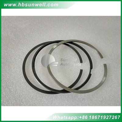 Cummins 6BT5.9 Engine Cummins Piston Ring 3802230 3802231 3802056 3802050 3802421 3904531 3918315 3932520 supplier