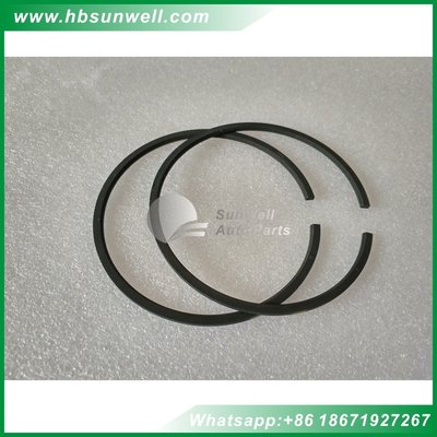 Cummins 6BT5.9 Engine Cummins Piston Ring 3802230 3802231 3802056 3802050 3802421 3904531 3918315 3932520 supplier