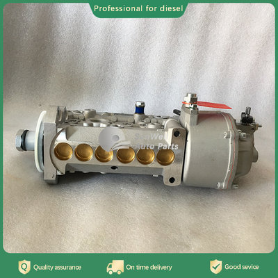 Competitively High Pressure Diesel Engine parts Fuel Pump 5301583 supplier