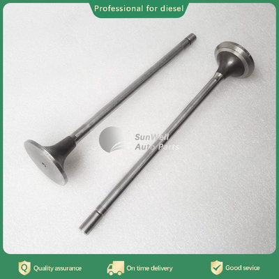 Factory supply  QSX15 Diesel Engine Intake Exhaust Valve 4101454 supplier